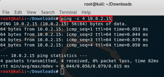 Hacking For Beginners Command Injection Vulnerability Techsphinx