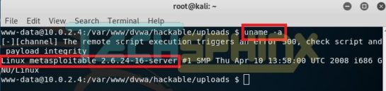 Hacking For Beginners File Upload Vulnerability Techsphinx