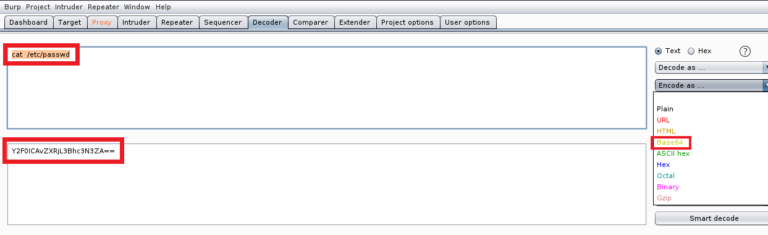 File Inclusion Vulnerability: (LFI & RFI) Full Guide - TechSphinx