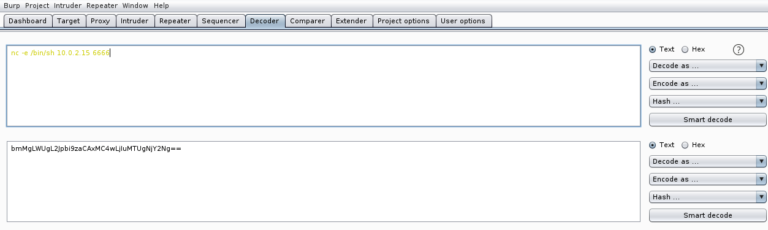 File Inclusion Vulnerability: (LFI & RFI) Full Guide - TechSphinx