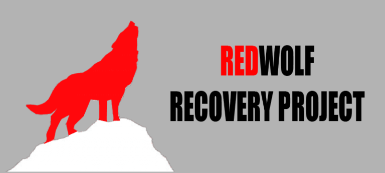 Best Custom Recovery for Android devices 2021 - TechSphinx