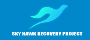 Best Custom Recovery for Android devices 2021 - TechSphinx