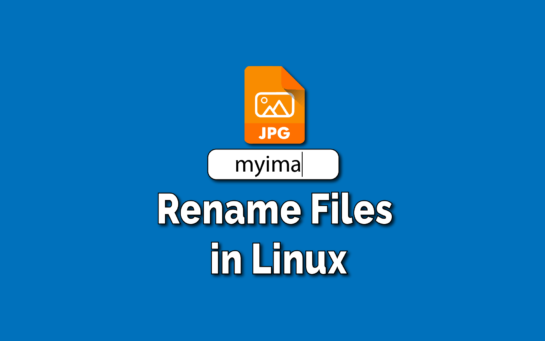 How to Rename Files in Linux using Terminal? - TechSphinx